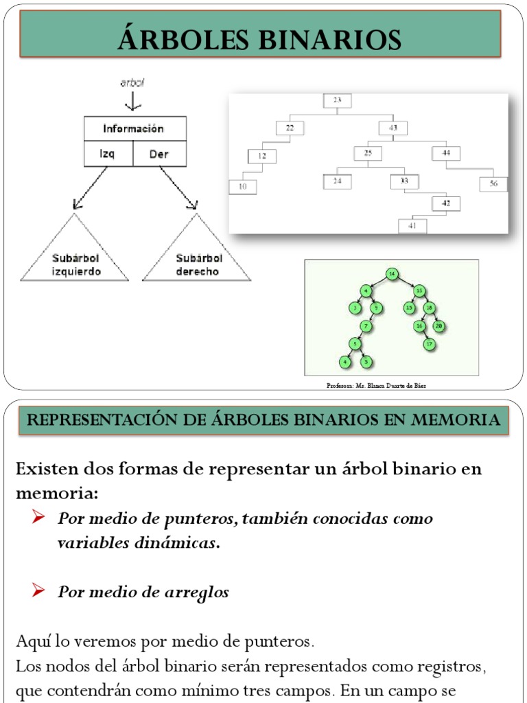 Arboles Parte2 | PDF | Algoritmos y Estructuras de Datos | Datos de ...