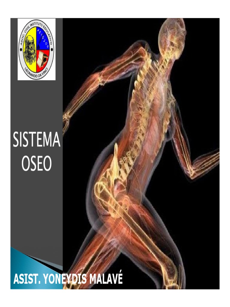 Sistema Oseo. | PDF | Mano | Vértebra