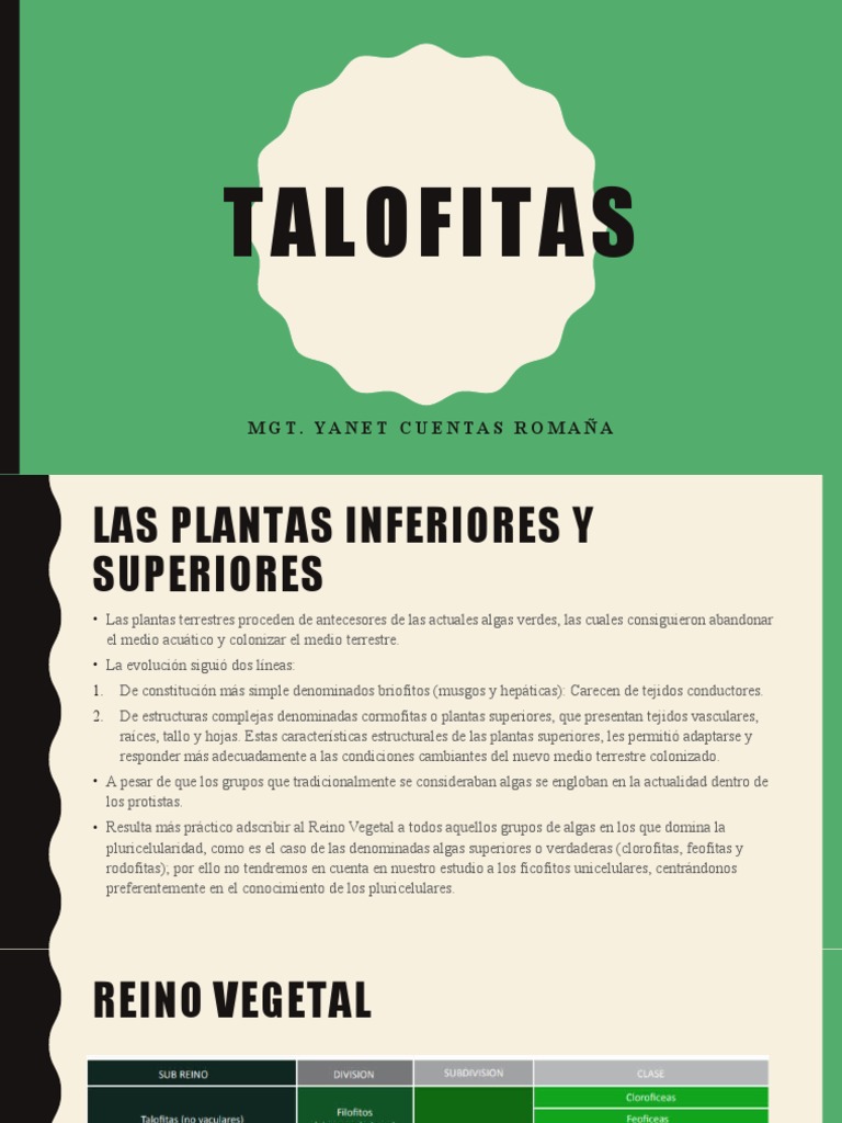 TALOFITAS | PDF | Reproducción sexual | Hongo