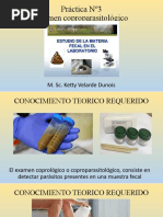 Harada Mori | PDF | Papel | Agua