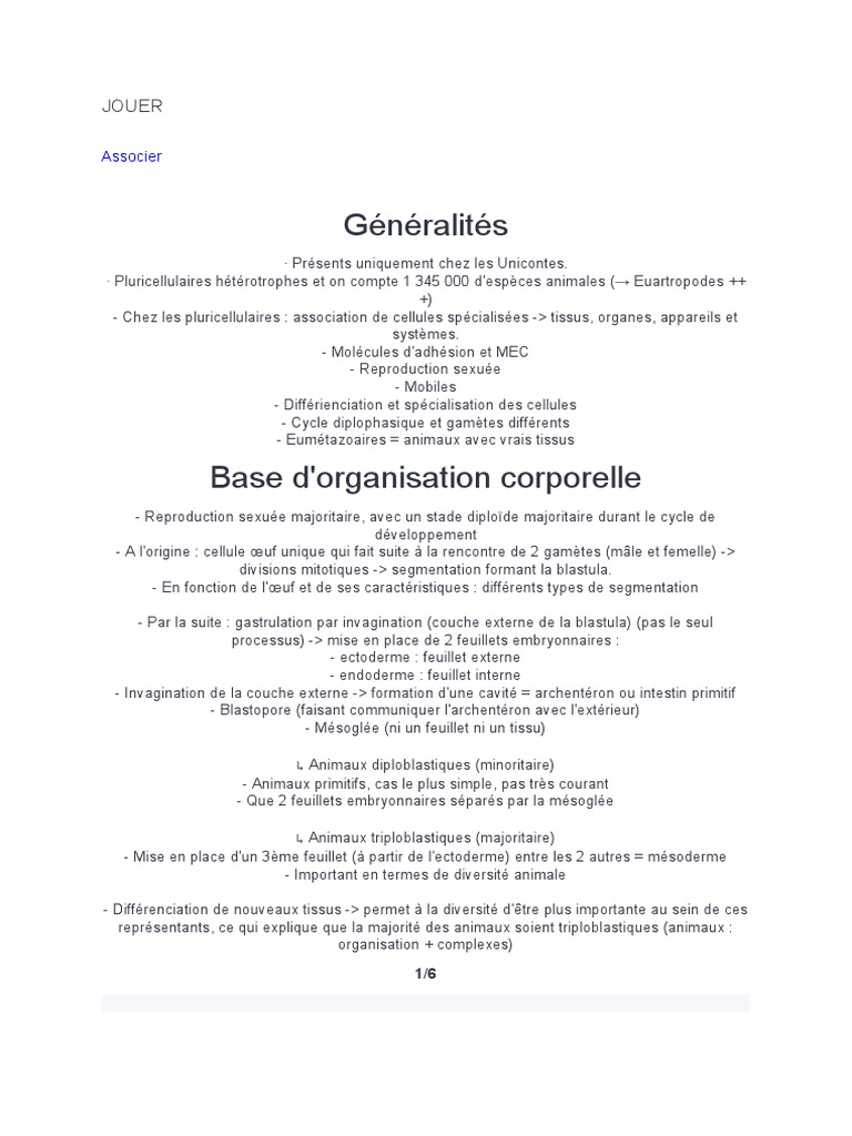 Classification des métazoaires expliquée | PDF | Biologie | Biologie du ...