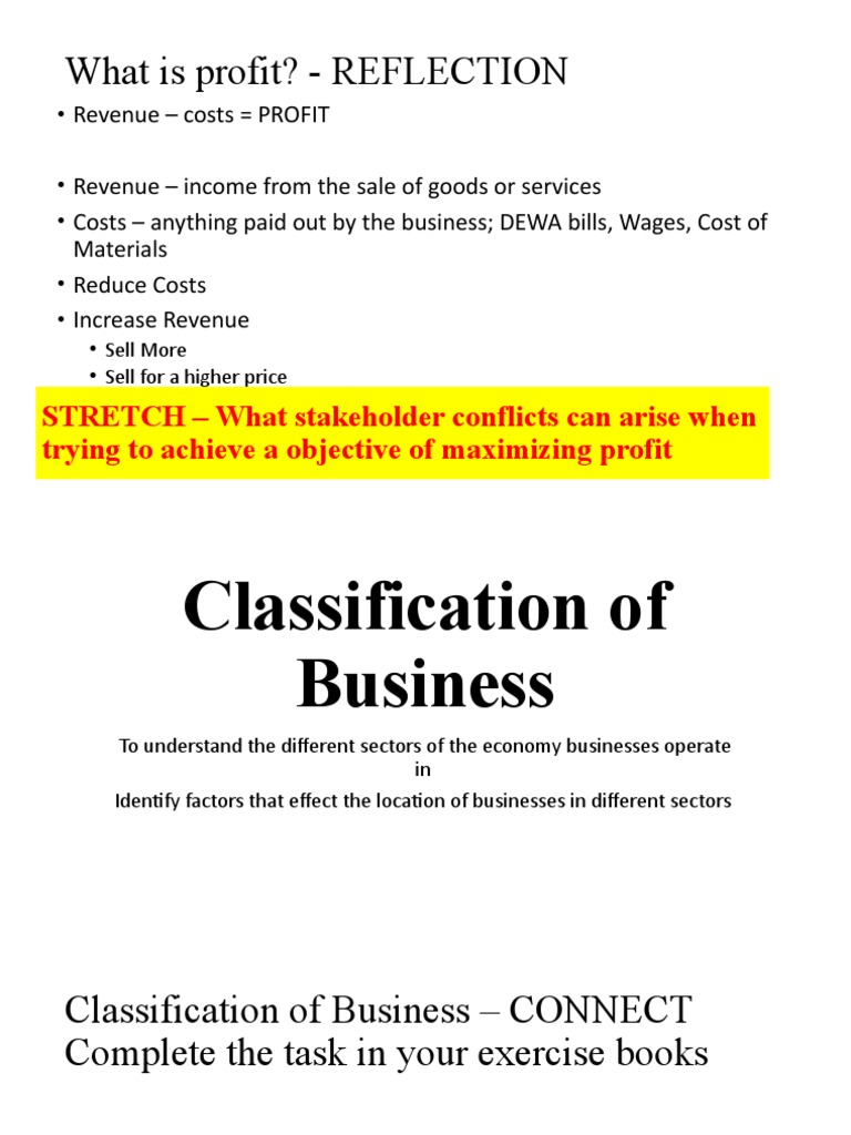 Classification of Business | PDF
