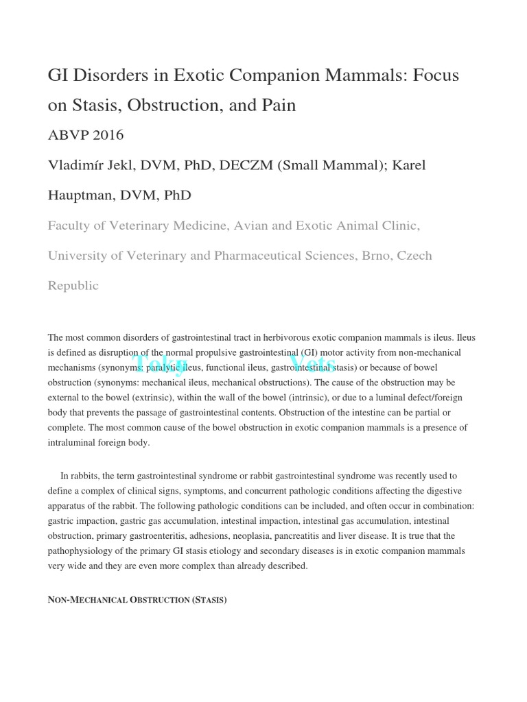 Tokyo Vets: GI Disorders in Exotic Companion Mammals: Focus On Stasis ...