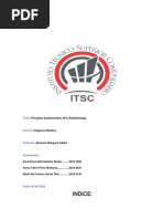 Ley de Bergonie y Tribondeau | PDF | Radiobiología | Radiación