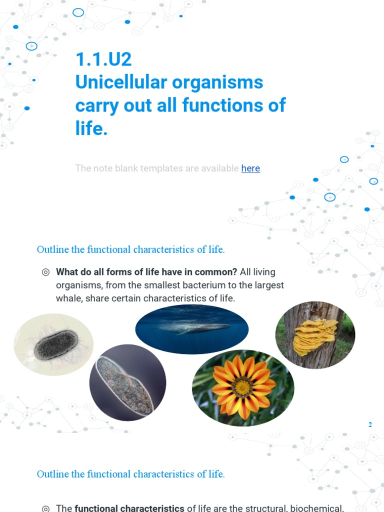 1.1.U2 Unicellular Organisms Carry Out All Functions of Life | PDF ...