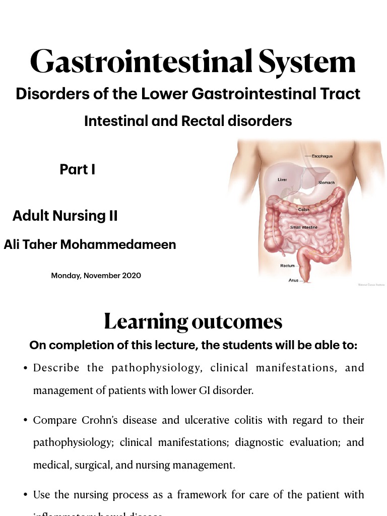 Lower GI Disorders: Nursing Management Guide | PDF | Constipation ...