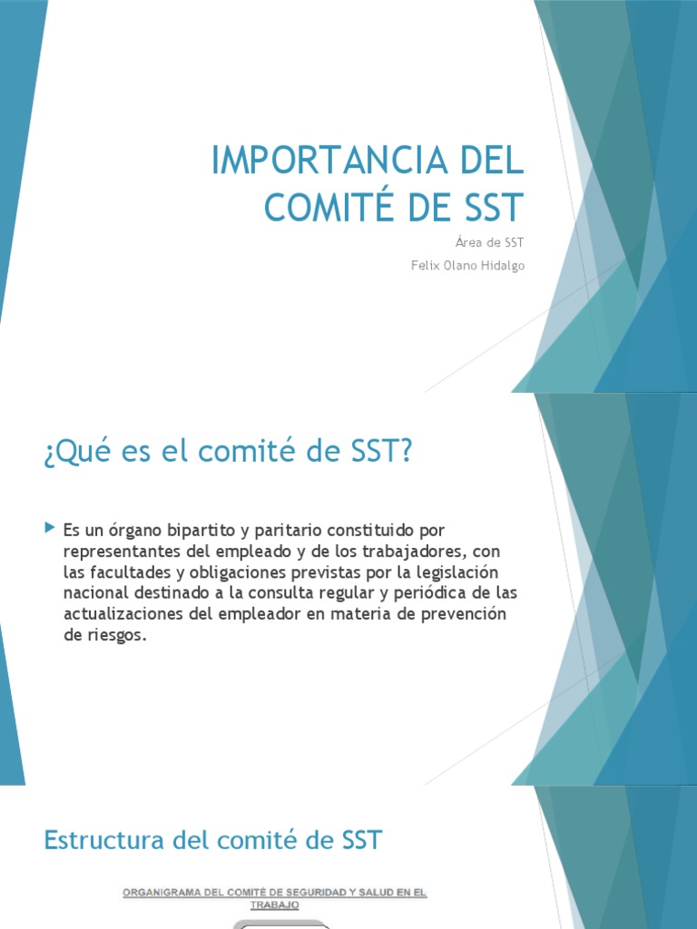 Importancia Del Comité de SST | PDF | Seguridad y salud ocupacional ...