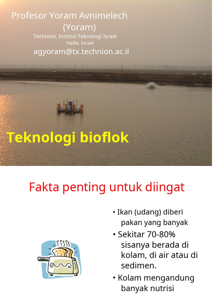 Bioflock (Prof. Yoram) .En - Id | PDF