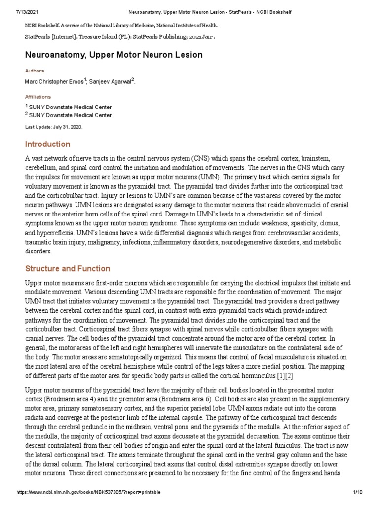 Neuroanatomy, Upper Motor Neuron Lesion - StatPearls - NCBI Bookshelf ...