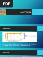 Mapa Conceptual Tipos de Matrices. Parra García Andrés Manuel PDF | PDF