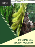 Proyecto de Locote en Paraguay | PDF | Pimiento | Economias