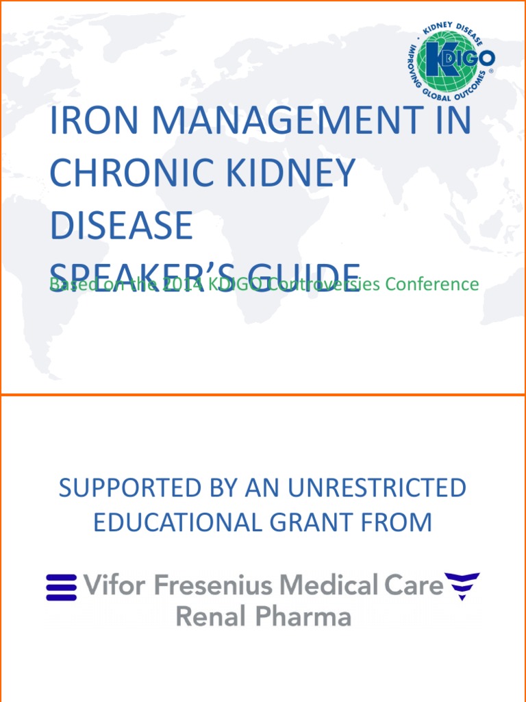 KDIGO Iron MGMT CC Speakers Guide FINAL 1 | PDF | Chronic Kidney ...