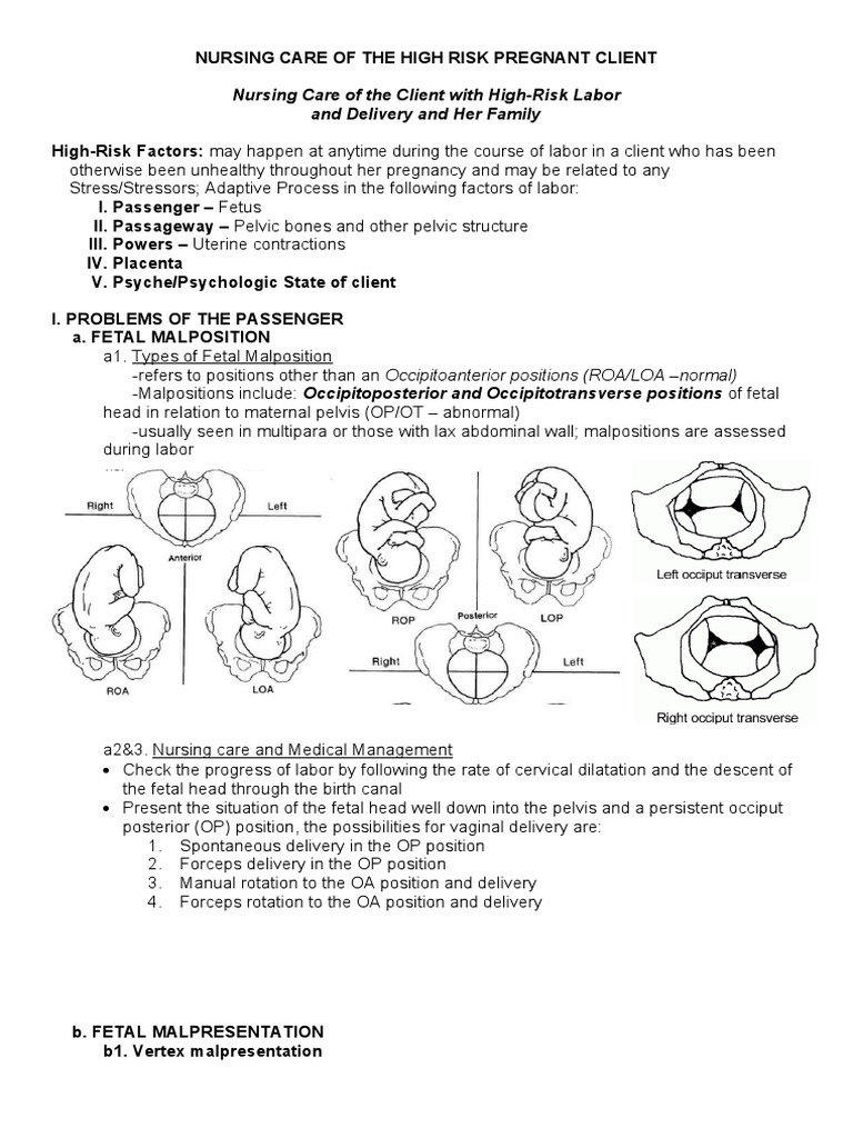 Nursing Care of The Client With High-Risk Labor & Delivery | PDF ...
