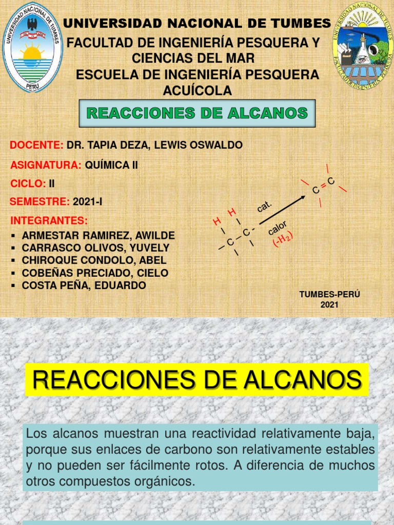 Grupo 1-Reacciones de Alcanos | PDF | Alcano | Combustión