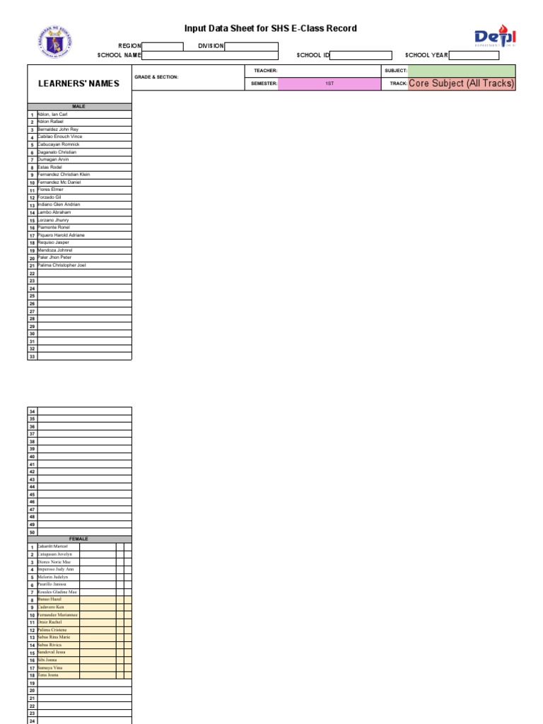 Input Data Sheet For SHS E-Class Record: Learners' Names | PDF