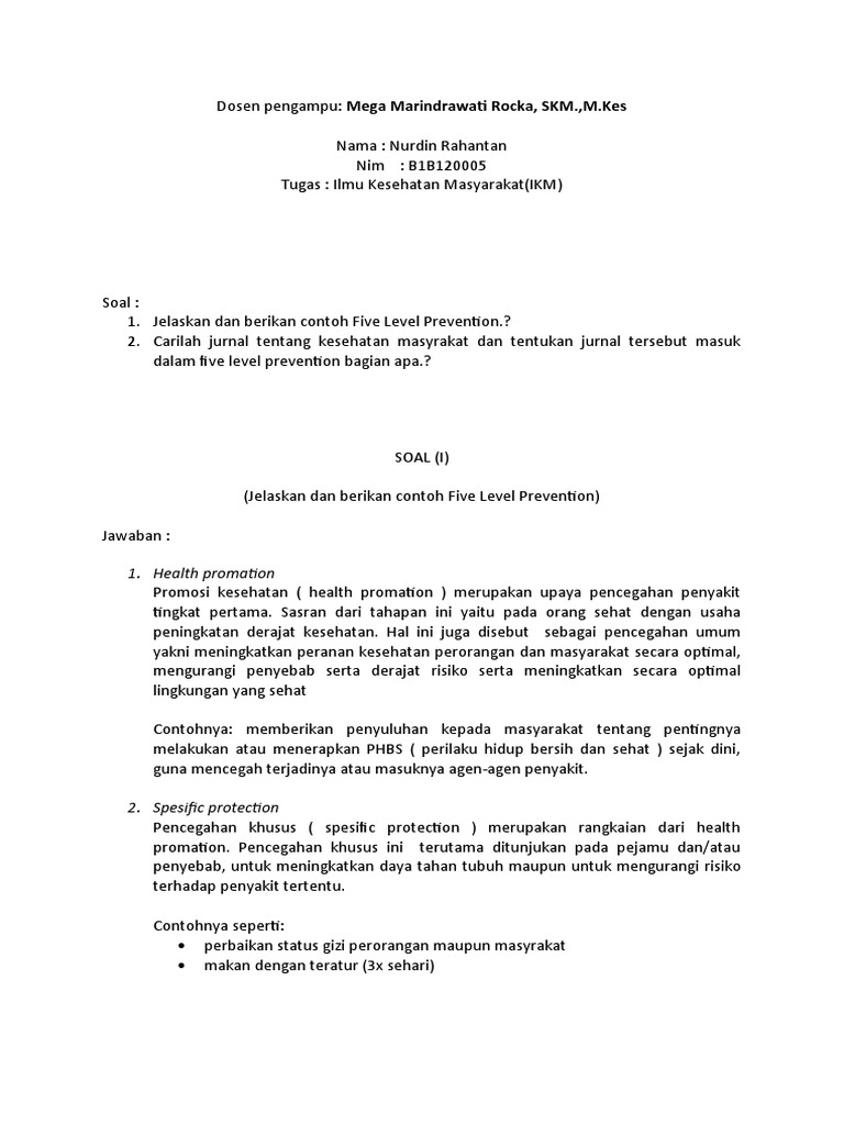 Five Level Prevention | PDF