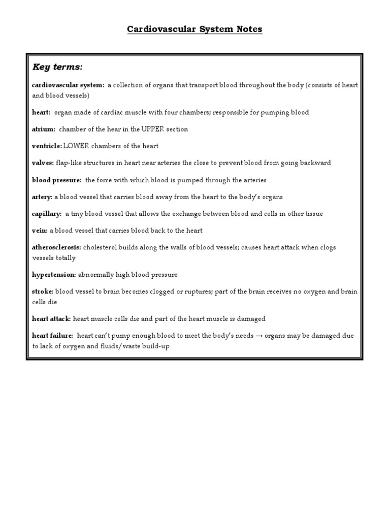 Circulatory System Notes | PDF | Blood Vessel | Heart