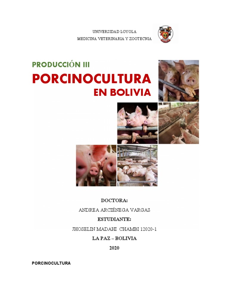 Porcinocultura en Bolivia | PDF | Bolivia | Carne