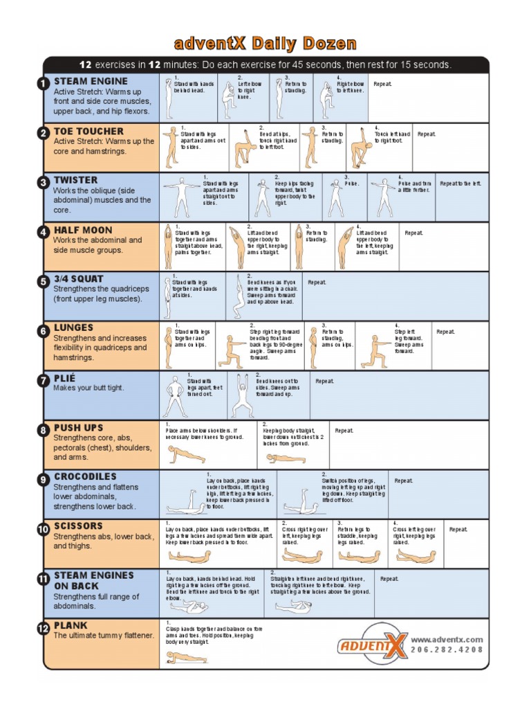 The Daily Dozen | PDF | Dance Science | Musculoskeletal System