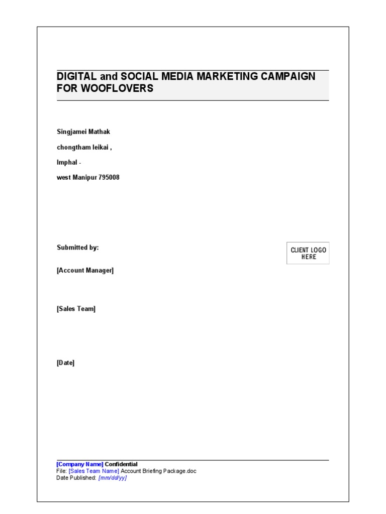 DM Plan - Template | PDF | Sales | Brand