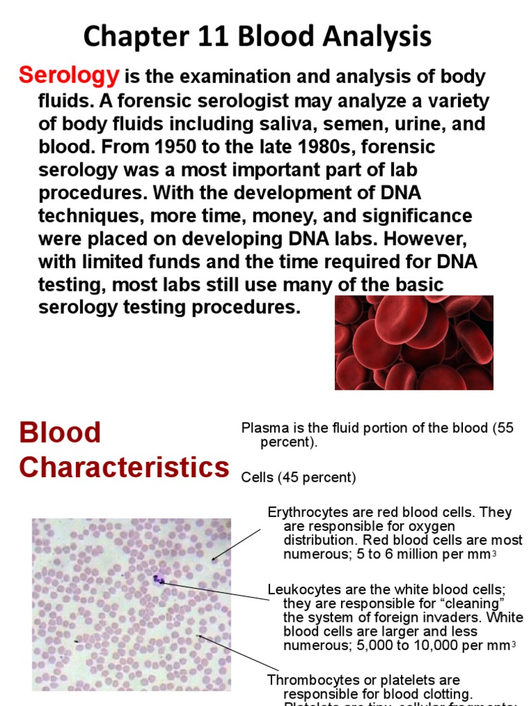 Chapter 11 Blood Analysis: Serology | PDF | Blood Type | Blood Cell