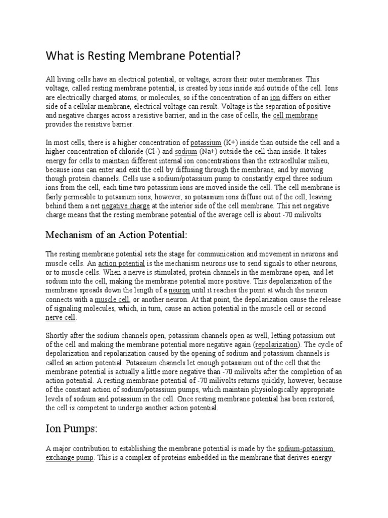 Understanding Resting Membrane Potential | PDF | Membrane Potential ...