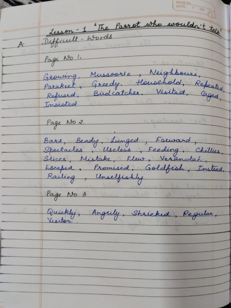 english-mcb-copy-class-iv-pdf