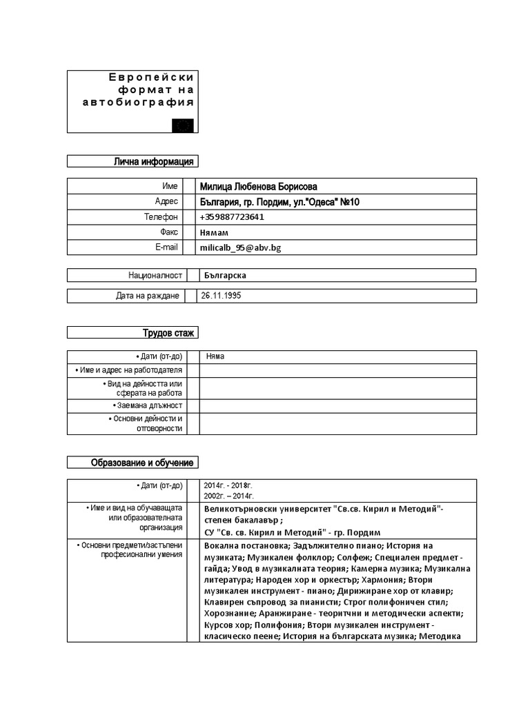 CV BG - Template 2 | PDF