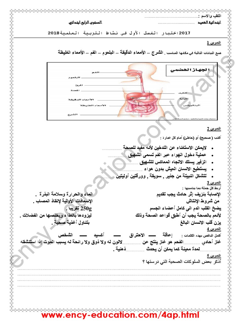 Techno 4ap18 1trim6 | PDF