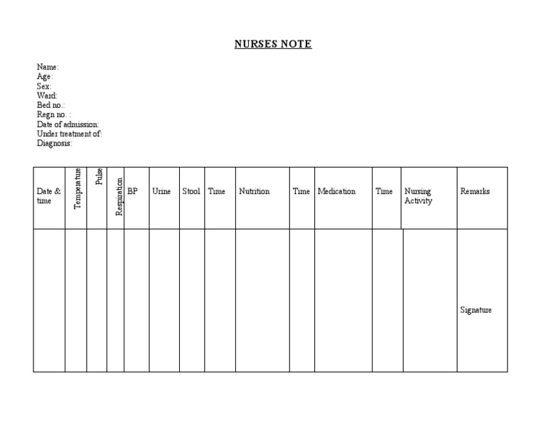 Nurses Note | PDF