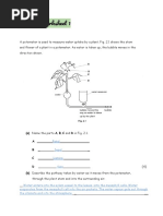 O Level English Comprehension Practice | PDF