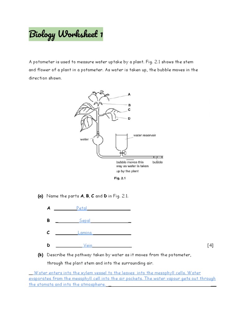 O'level Past Papers of Biology, Physics and Chemistry | PDF | Oxide | Heart