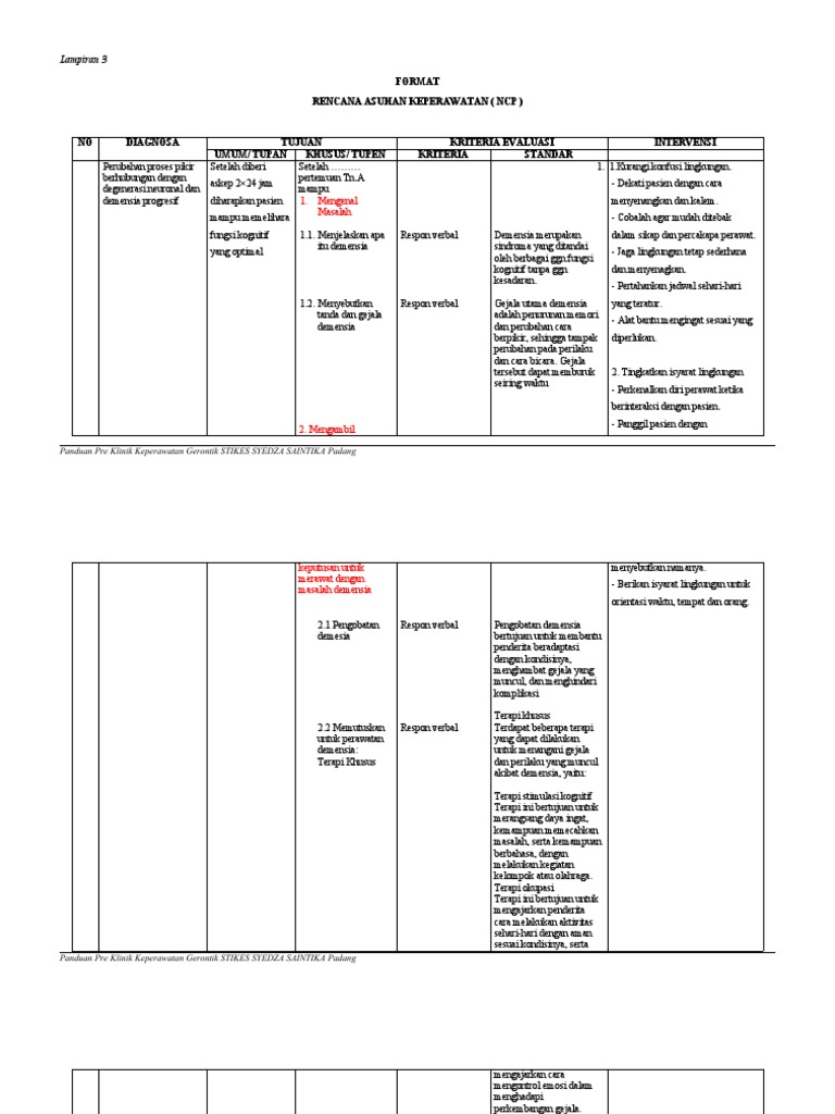 Format NCP Demensia | PDF