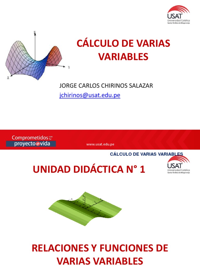 Relaciones y funciones de varias variables: Gráficas de curvas y superficies de nivel | PDF ...