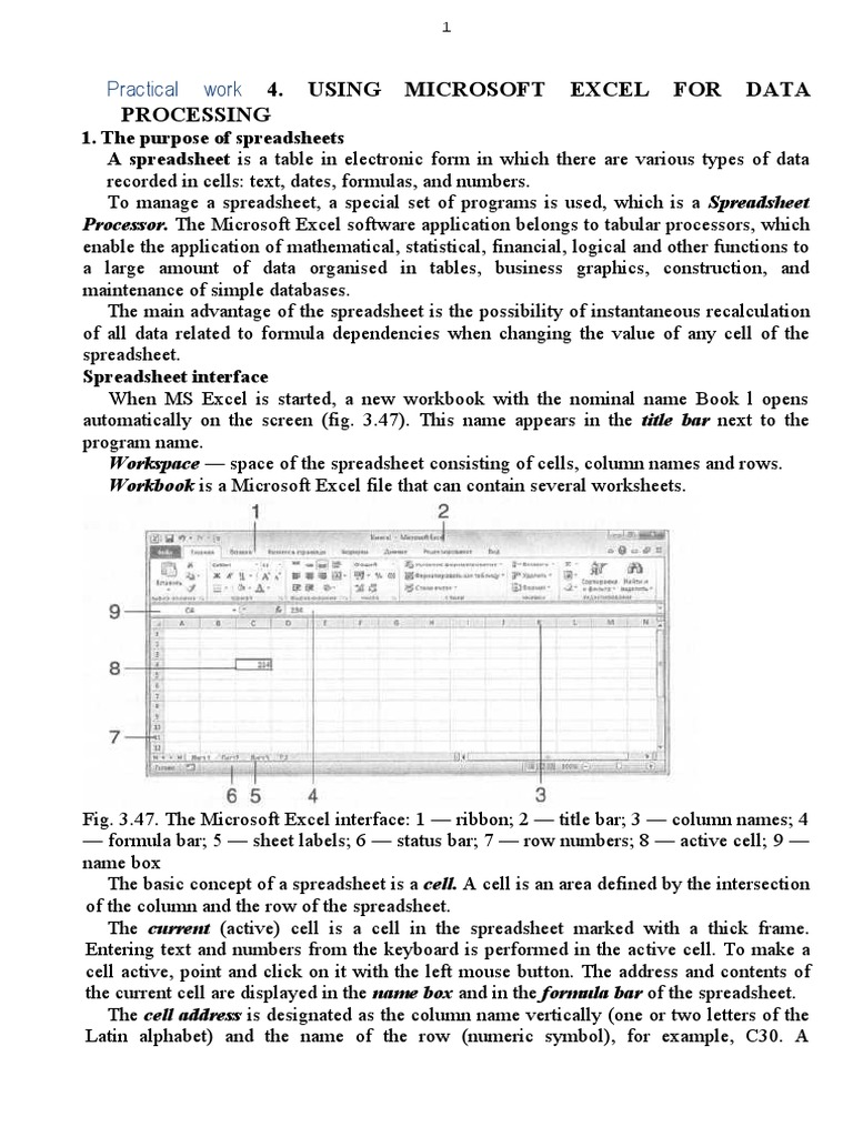 Using Microsoft Excel For Data Processing Practical Work Pdf Spreadsheet Microsoft Excel