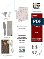 SICAR 6: Shoe and Tyre Evidence System | PDF | Tire | Databases