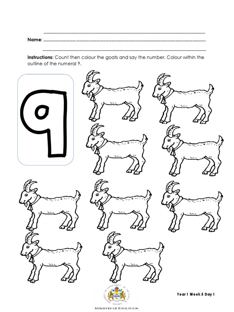 Numeracy Year 1 Term 2 - 2021 - Week 5 | PDF