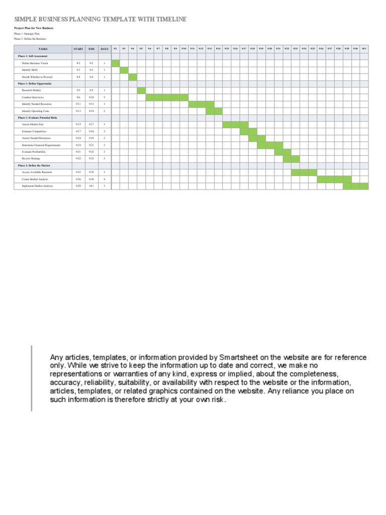 Simple Business Planning Template With Timeline: Project Plan For New ...