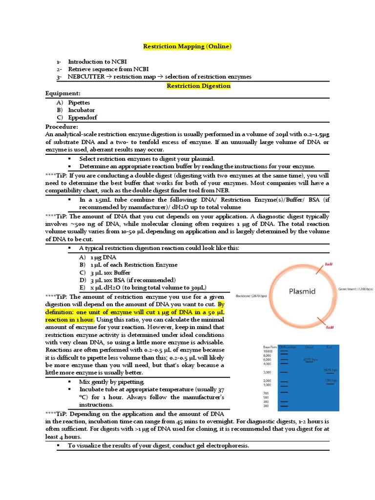Restriction Mapping & DNA Ligation Guide | PDF | Dna Ligase | Biotechnology