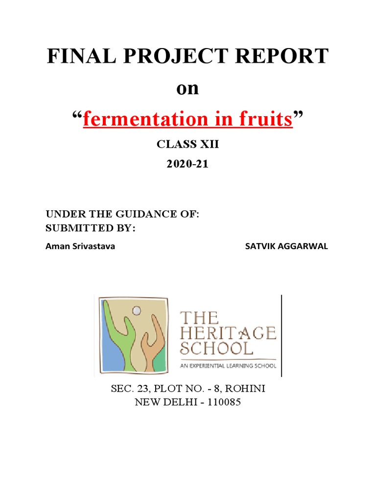 Final Project Report On " ": Fermentation in Fruits | PDF | Fermentation | Yeast