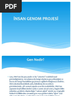 Dna Akti̇vasyonu Hakkinda | PDF