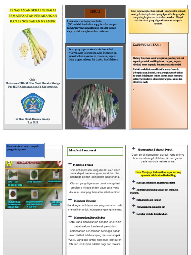 Leaflet Serai | PDF