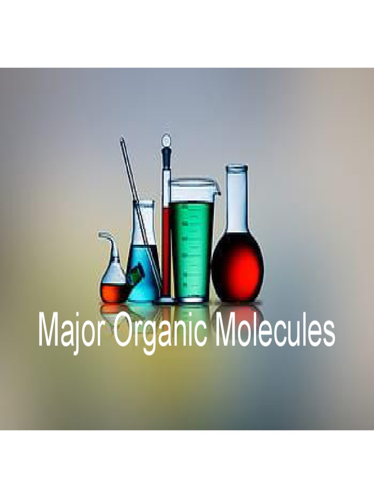 Major Organic Molecules Slides | PDF | Polysaccharide | Carbohydrates