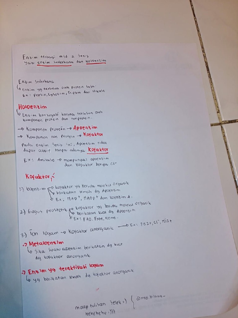 Rangkuman Enzim. | PDF