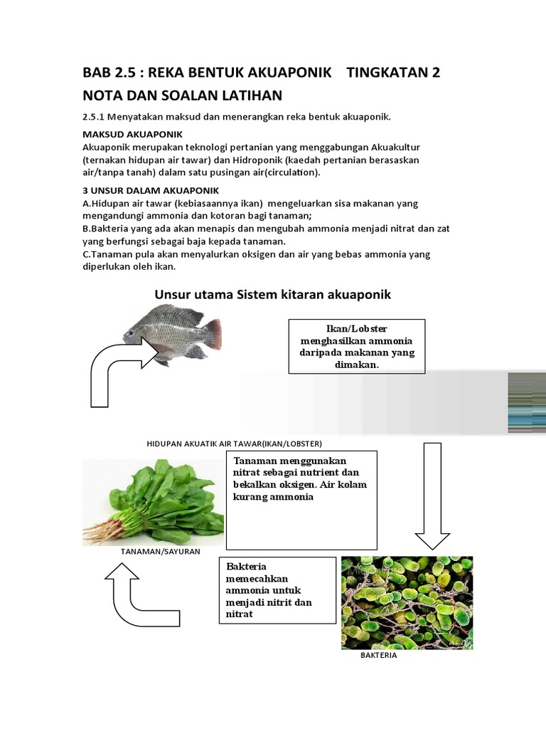 Modul RBT Akuaponik t2 - Nota N Soalan PBD | PDF
