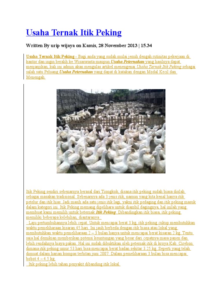 Usaha Ternak Itik Peking | PDF | Kesehatan Holistik