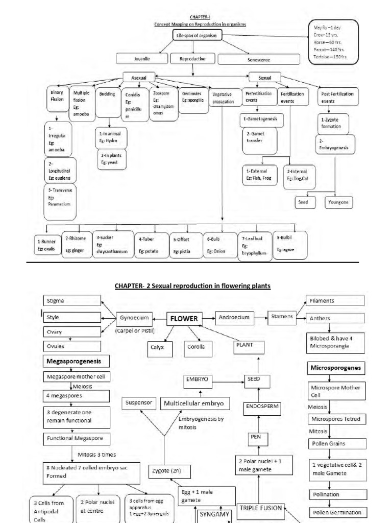 Memory Maps Biology XII Class | PDF | Menstrual Cycle | Luteinizing Hormone