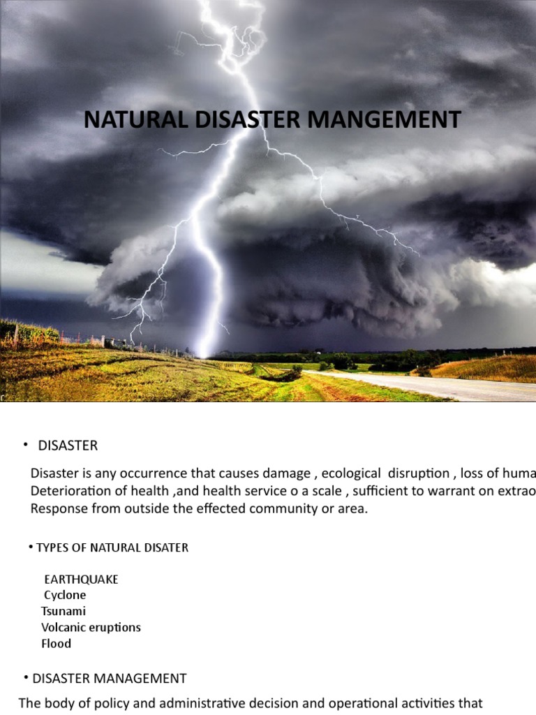 Natural Disaster Management Overview | PDF