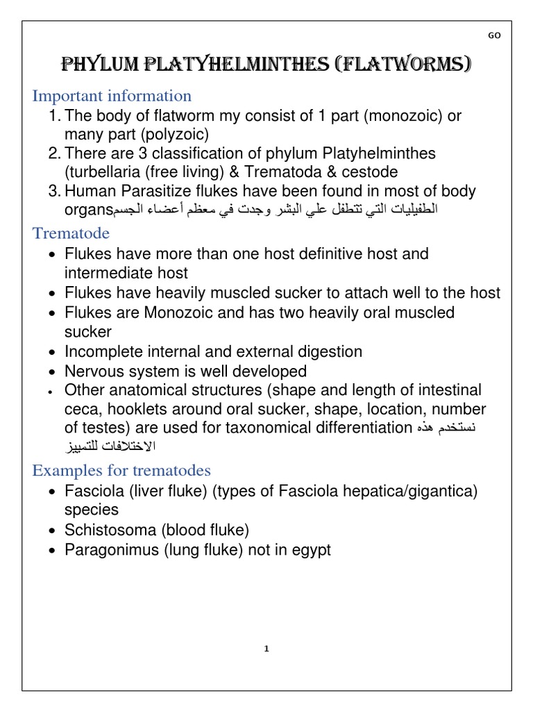 Phylum Platyhelminthes (Flatworms) : Important Information | Download ...