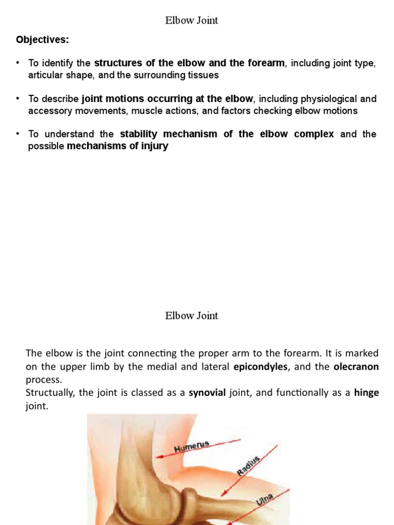 5 Biomechanics of Elbow Joint | PDF | Elbow | Anatomical Terms Of Motion
